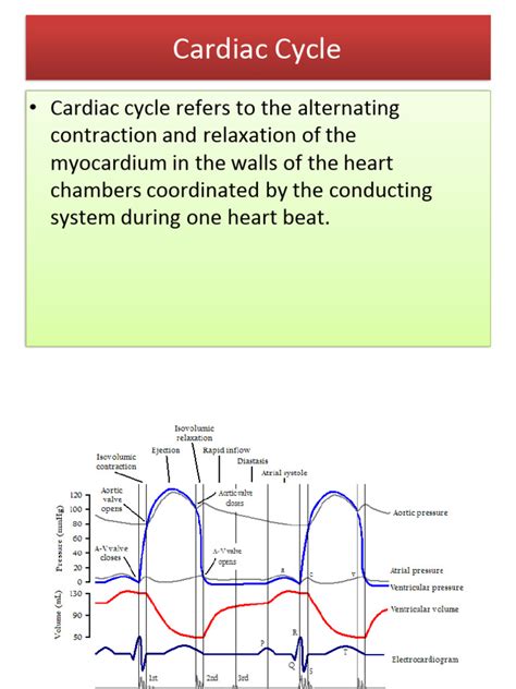 Image result for Cardiac Cycle Simple