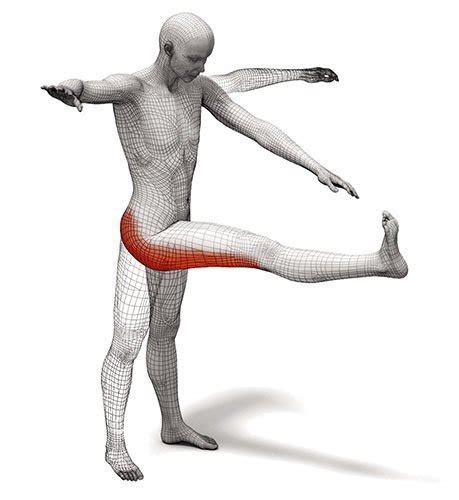 Image result for Define Dynamic Stretching
