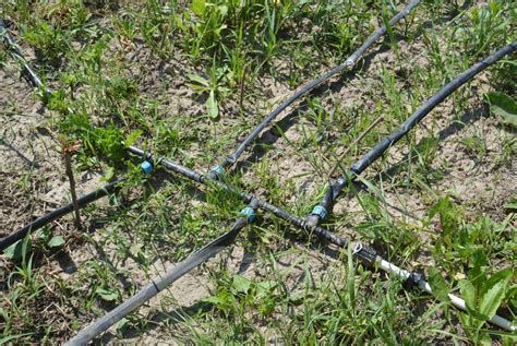Image result for Components of Drip Irrigation System