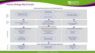 Image result for Hospital Strategy Map
