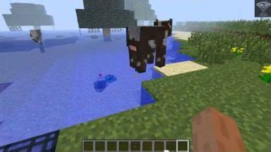 Image result for Minecraft Custom Mob Spawner