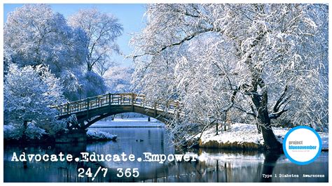 Image result for How to Apply Dexcom Sensor