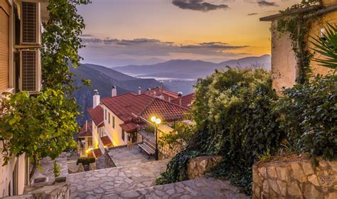 Image result for Delphi Tree Pic