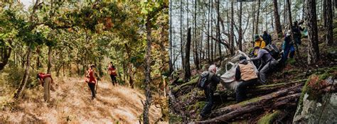 Image result for Salt Spring Island Conservancy