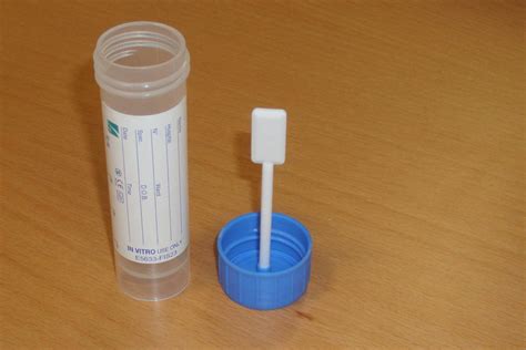 Image result for How to Not Collect Stool Sample