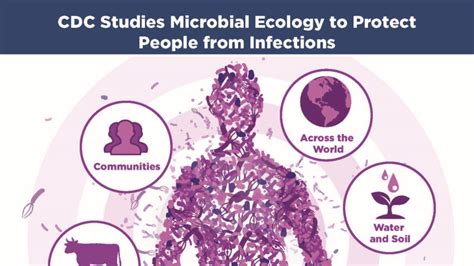 Image result for Microbial Ecology