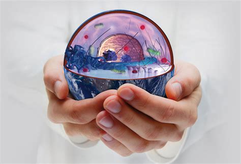 Image result for Life Science Definition