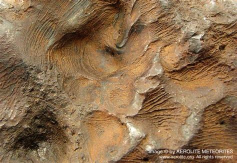 Image result for How to Check a Meteorite