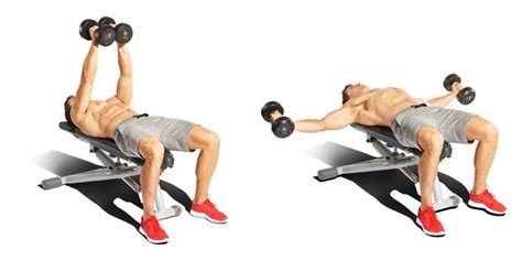 Image result for Chest Fly Proper Form