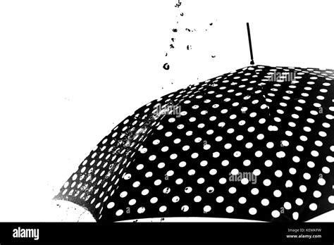 Image result for How to Use Umbrella Drop Net