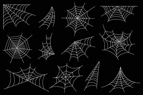 Image result for Spider Web Vector