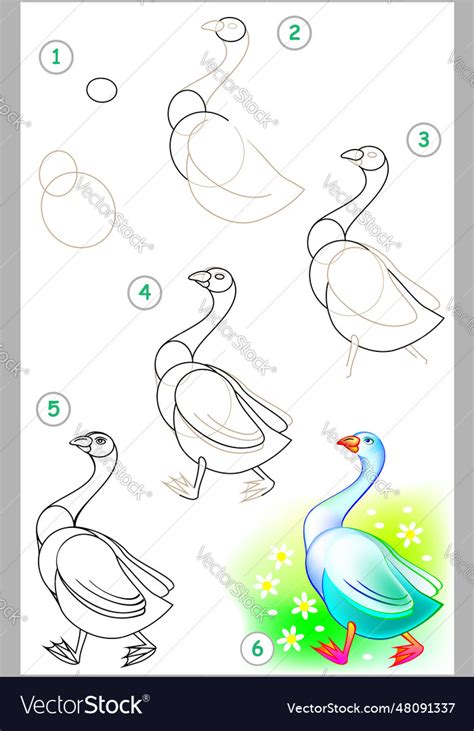 Image result for Learning How to Draw Step by Step