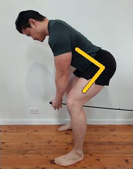 Image result for Hinge Exercise Variations