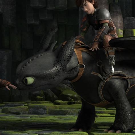 Image result for Toothless Mate