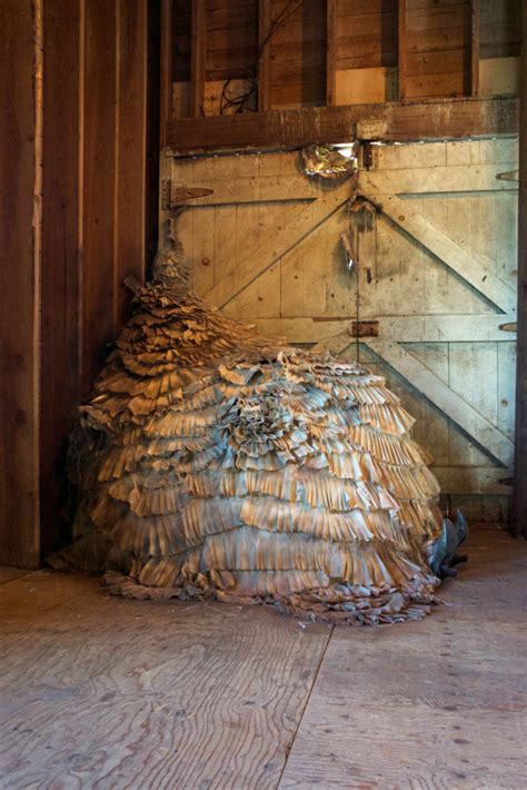 Image result for Big Opera