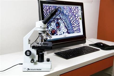 Image result for Best Digital Microscope