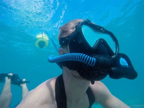 Image result for Diving Mask Finding Nemo