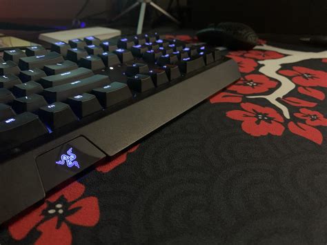 Image result for Mouse Mods