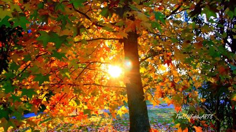 Image result for Spring Vivaldi Background