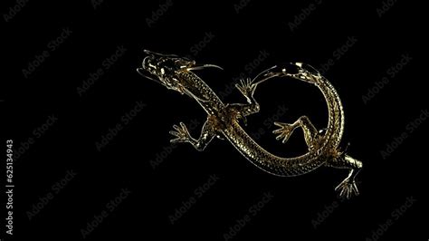 Image result for Infinity Loop Dragon