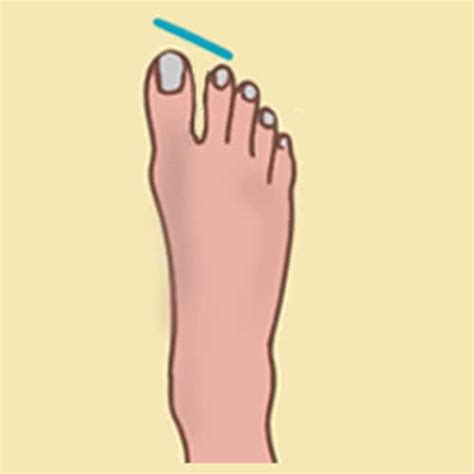 Image result for Different Types of Toes