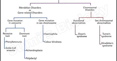Image result for Three Types of Genetic Disorders