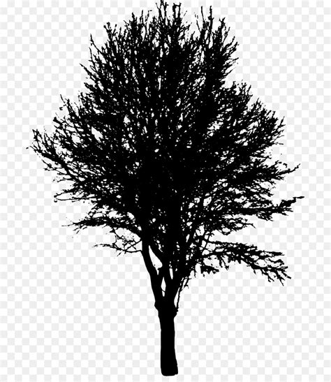 Tree Silhouette - tree vector png download - 2280*1677 - Free ...