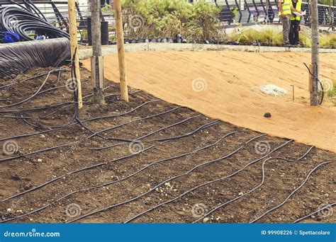 Image result for Subsurface Drip Irrigation System