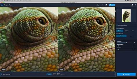 Image result for Topaz Labs Sharpen AI Tutorial