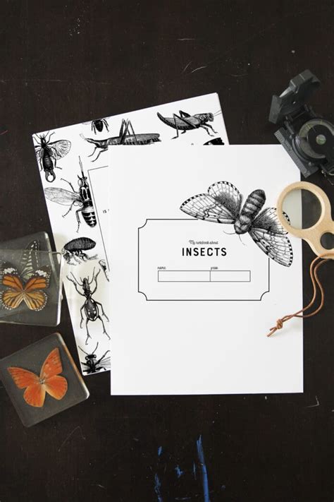 Image result for Printable Insects
