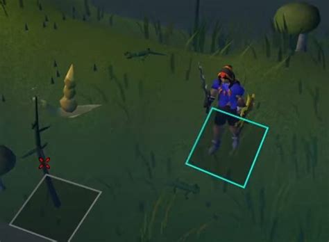 Image result for How to Catch Swamp Lizards OSRS