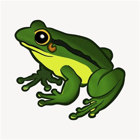 Image result for Frog Cartoon 2D Vector
