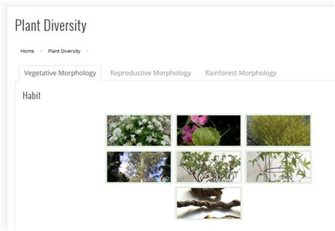 Image result for Learning Botany Australia