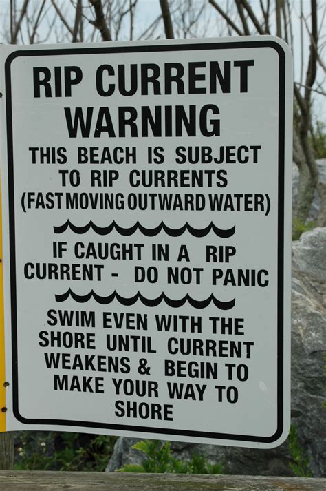 Image result for Rip Current Signs