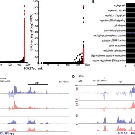 Image result for Super Repressor Enhancer