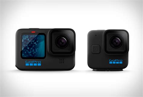 Image result for GoPro 11