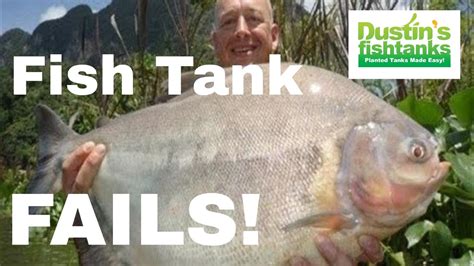 Image result for Fish Fail