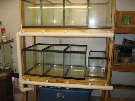 Image result for Breeding Fish Tank