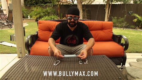 Image result for Dog Spring Pole