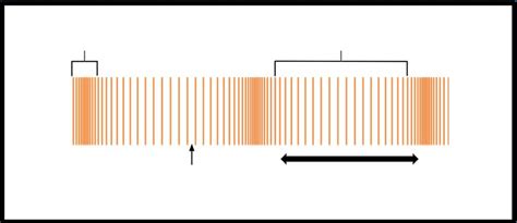 Image result for Longitudinal Wave Diagram Labeled