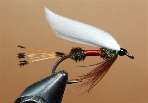 Image result for Royal Coachman Fly Pattern