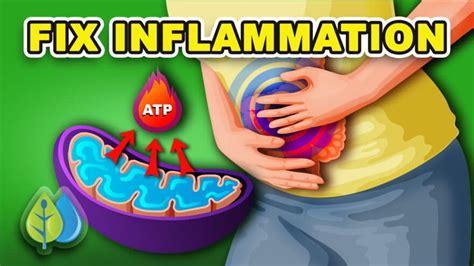 Image result for Reducing Inflammation