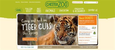 Image result for Chester Zoo Wolves
