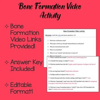 Image result for Bone Formation Learning