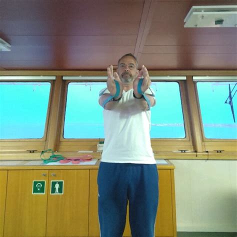 Image result for Standing Chest Fly Exercise