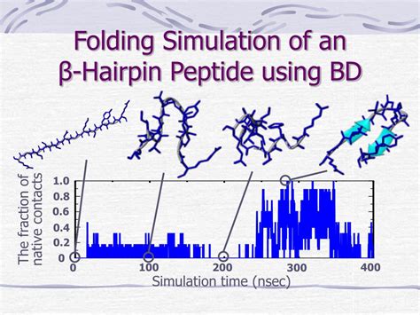 Image result for Protein Folding Simulation