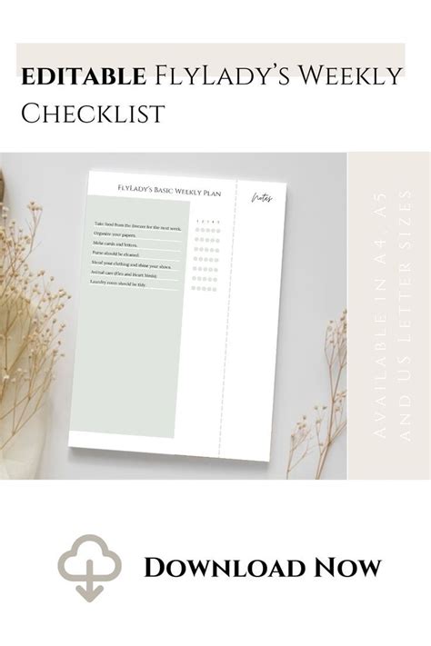 Image result for FlyLady Morning Routine Checklist