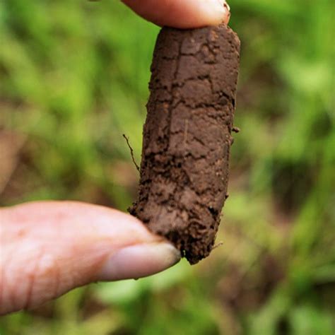 Image result for Soil Core Sampler