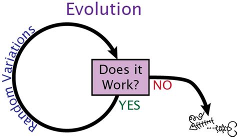 Image result for Mathematical Problem with Evolution