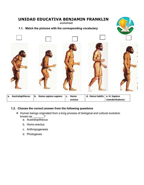Image result for Human Evolution Worksheet